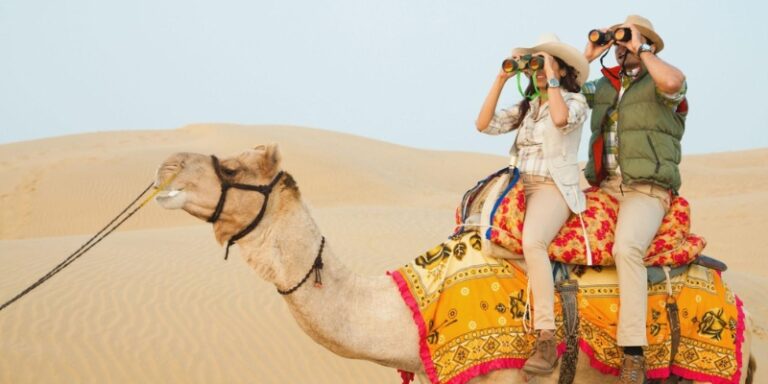 Family-Friendly Desert Safari Activities for All Ages - The Wolf Desert